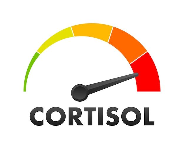 adv detox cortisol 01 - O Guia da WEB